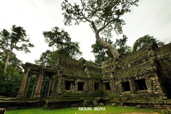 Full-Day Angkor Wat & All Must-See with Banteay Srei Private Tour - What Makes This Tour Special?