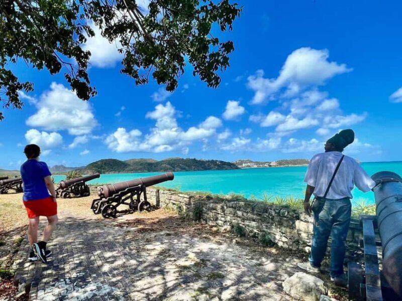 Full Day Antigua Island Tour with Ras Andre - Who Should Consider This Tour?