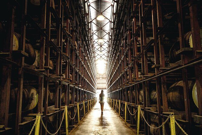 Full-Day Appleton Rum, YS Falls and Pelican Bar Private Tour - What This Tour Offers: A Deep Dive into Jamaican Culture and Nature