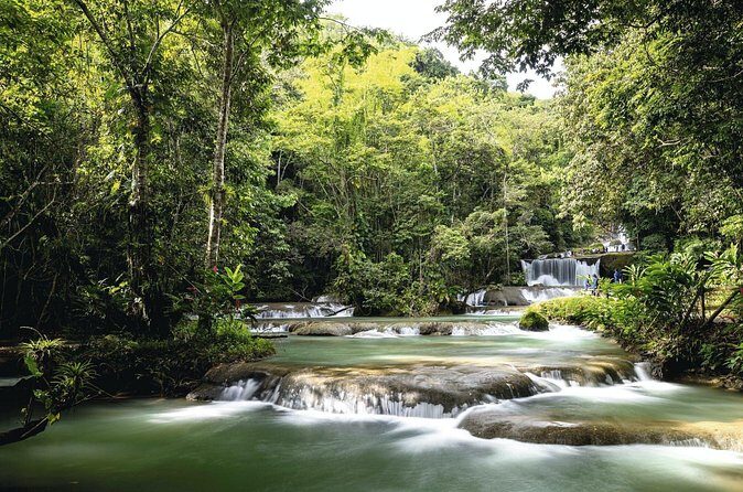 Full-Day Appleton Rum, YS Falls and Pelican Bar Private Tour - Who Will Love This Tour?