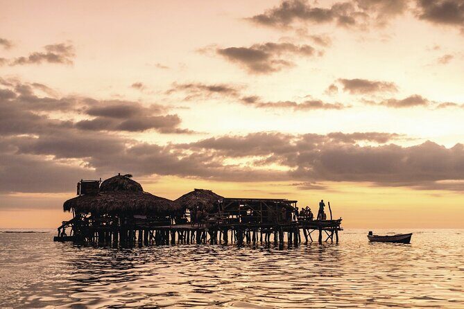 Full Day Appleton Rum YS Falls & Pelican Bar Group Tour - Exploring the Tour in Detail
