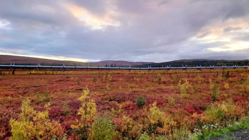 Full Day Arctic Circle Tour - Key Points