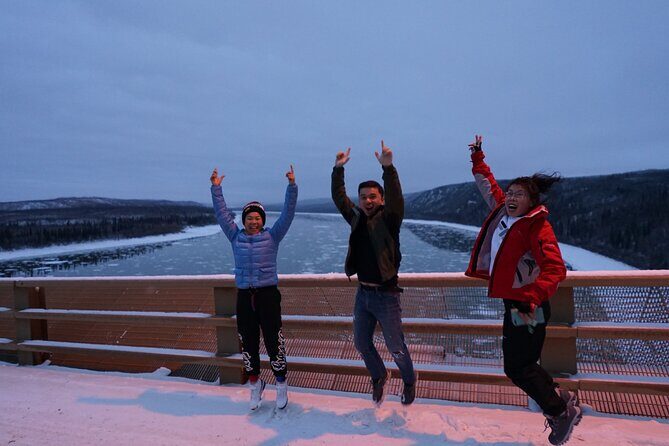 Full Day Arctic Circle Tour - What’s the Experience Really Like?