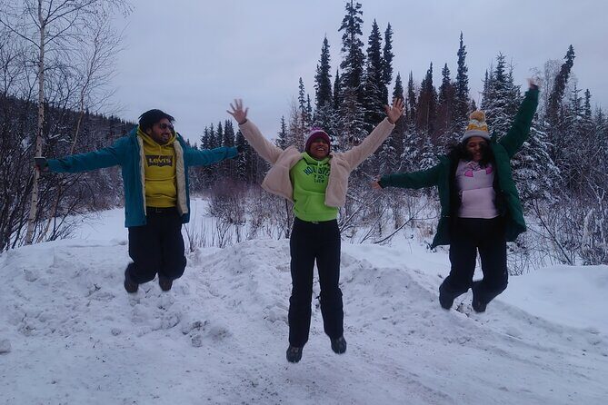 Full Day Arctic Circle Tour - FAQ