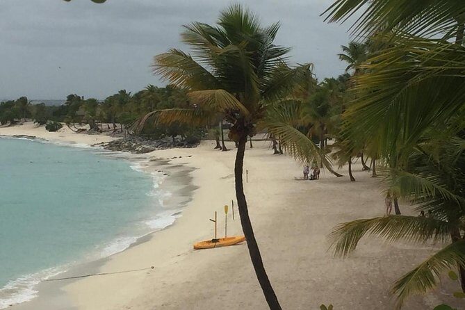 Full-day at Catalina Island from Santo Domingo with optional snorkeling included - FAQ