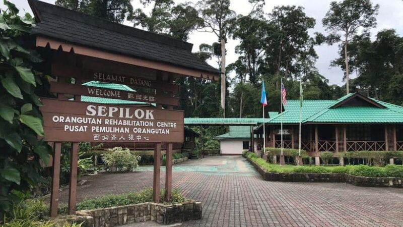 Full Day At Sepilok Orangutan, Sun Bear & Sandakan City Tour - Key Points