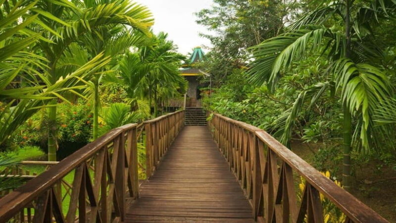 Full Day At Sepilok Orangutan, Sun Bear & Sandakan City Tour - Practical Considerations