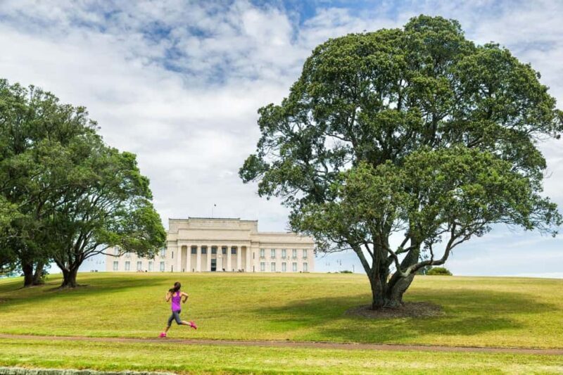 Full-day Auckland City & Rainforest Private Tour by Car - Key Points