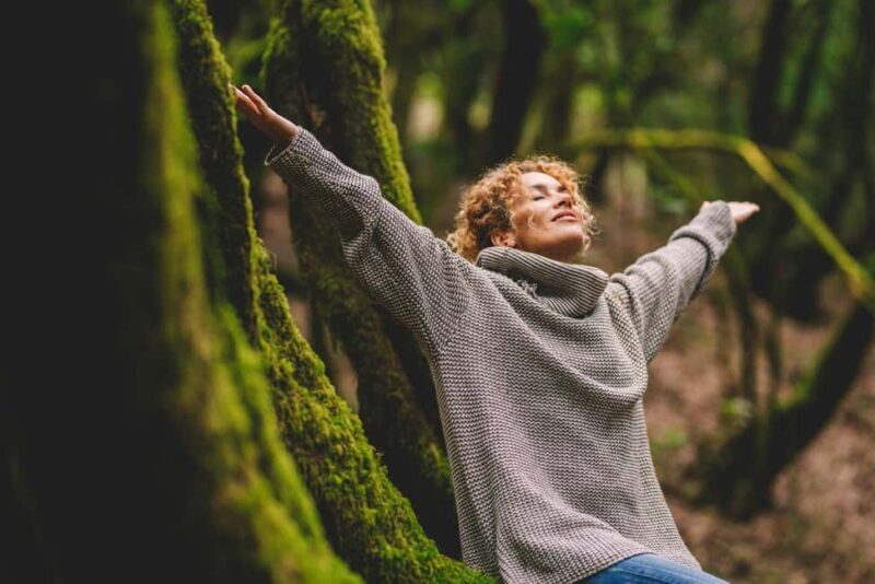 Full-day Auckland City & Rainforest Private Tour by Car - Taking in Nature: Arataki Centre and Rainforest Walks