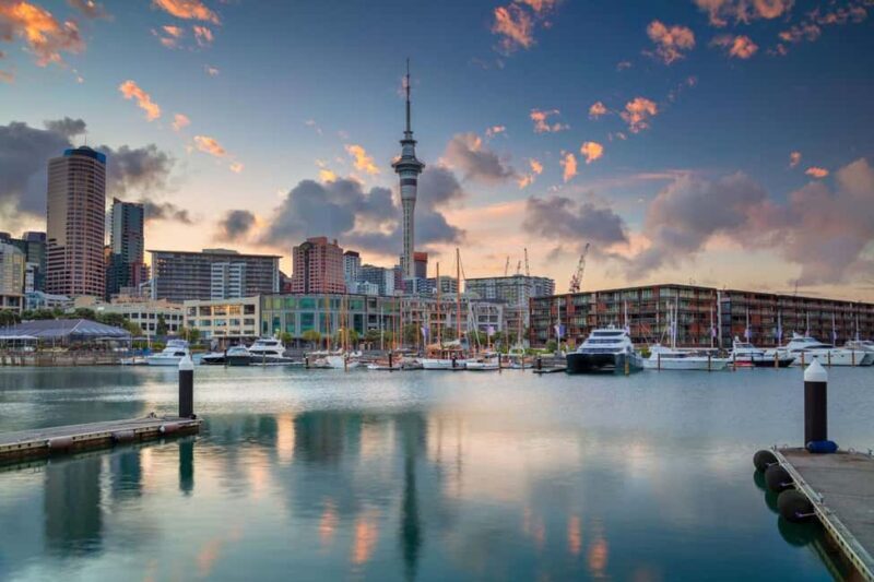 Full-day Auckland City & Rainforest Private Tour by Car - FAQ