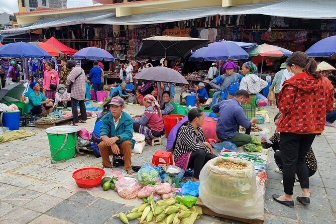 Full-day Bac Ha Sunday Market Private Tour from Sapa - What Makes This Tour Stand Out?