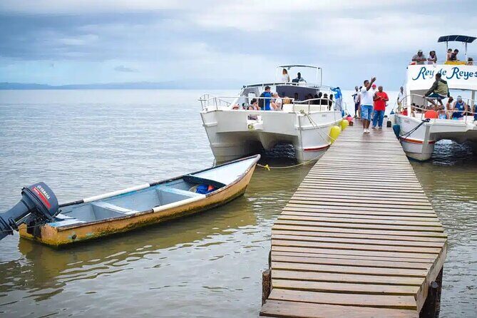 Full Day Bacardi Whale Watching - End Season March 30th - Final Thoughts