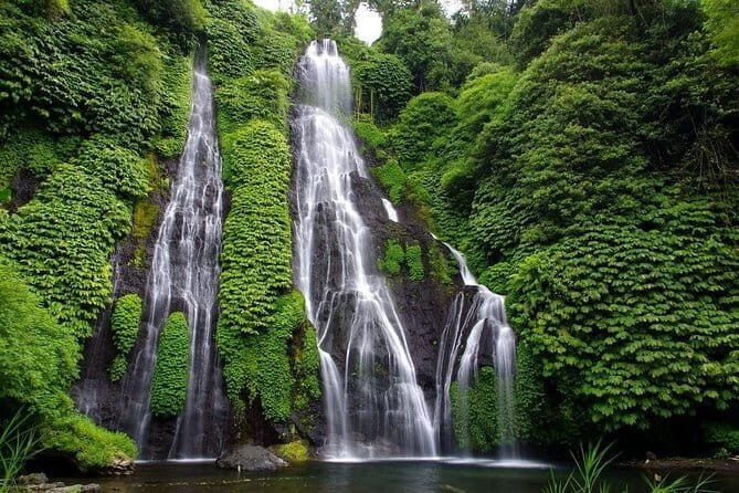 Full-Day Bali Highlights with Dolphin Tour - Starting with the Lovina Dolphin Adventure
