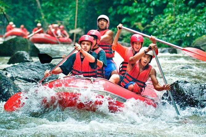 Full-Day Bali Highlights with Dolphin Tour - FAQs