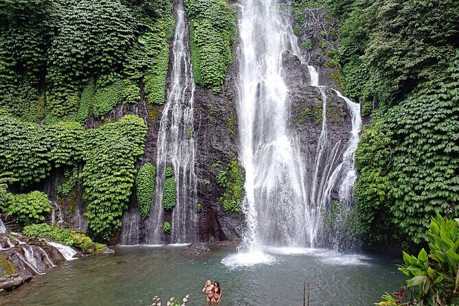 Full Day Bali North West Tour - Waterfall and Scenic Site - Who Would Love This Tour?