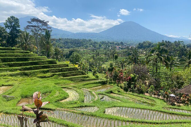 Full Day Bali Scooter Tour - FAQ