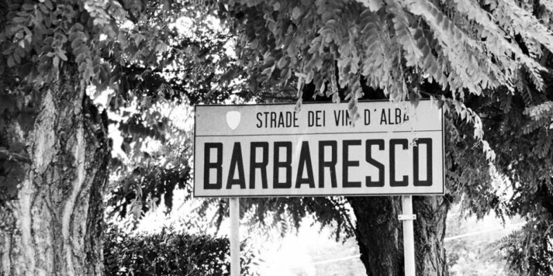 Full-Day Barbaresco Wine Tour with Truffle Hunting and Lunch - Exploring the Day’s Highlights in Detail
