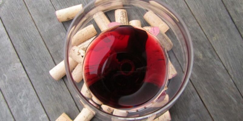 Full-Day Barbaresco Wine Tour with Truffle Hunting and Lunch - Final Thoughts: Is This Tour Right for You?
