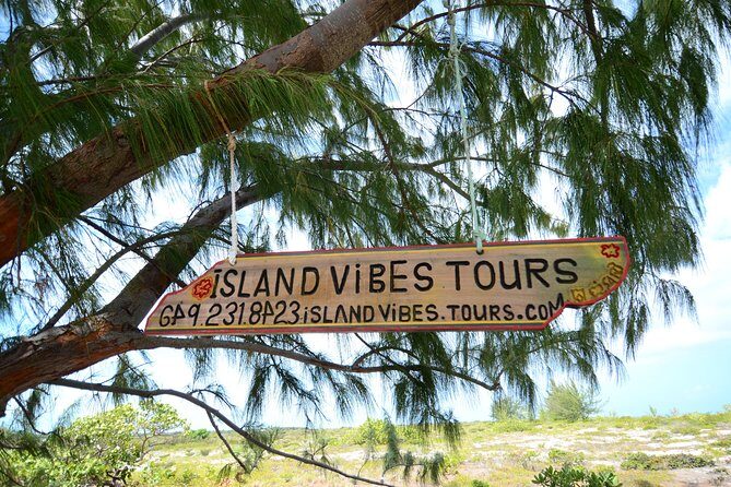 Full Day Beach BBQ Lunch & Snorkeling Excursion in Grace Bay - Why This Tour is Worth Considering