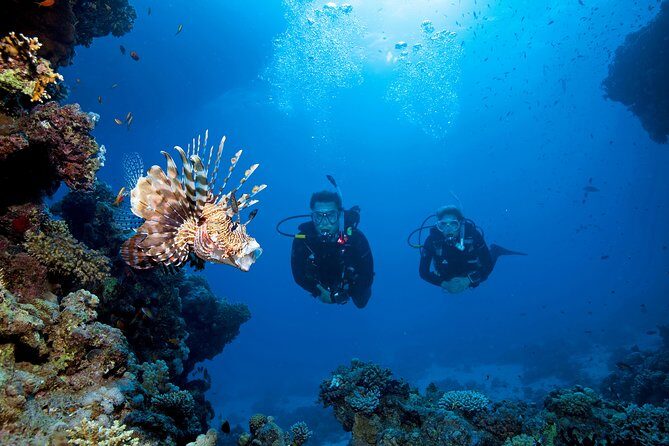 Full-Day Beginner Scuba Course with Private Tuition, Racha Yai - The Sum Up