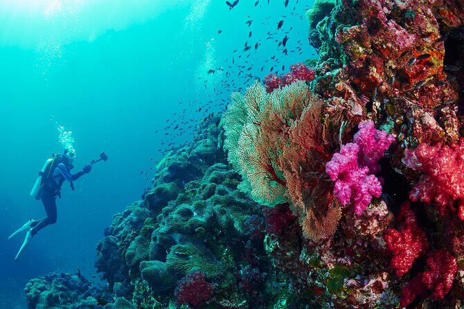 Full-Day Beginner Scuba Course with Private Tuition, Racha Yai - FAQs