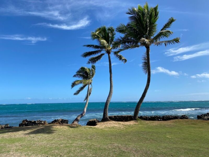 Full Day Best of Oahu Sightseeing Tour - Practical Details and Tips