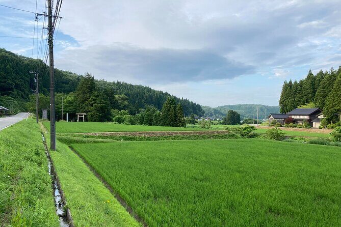 Full-Day Bicycle Tour on the Noto Peninsula - Real Experiences and Feedback from Past Participants