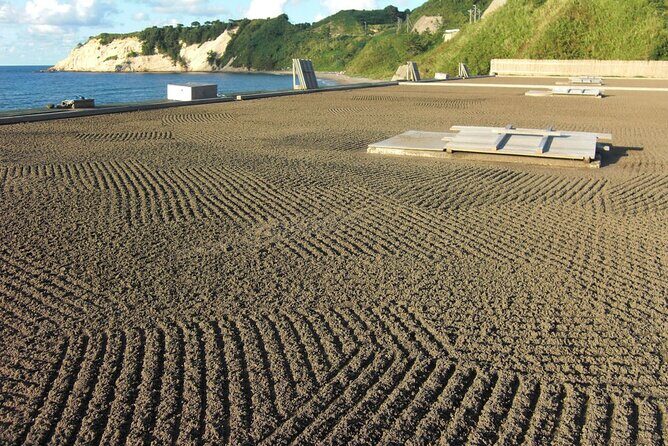 Full-Day Bicycle Tour on the Noto Peninsula - Practical Considerations and Who Should Book