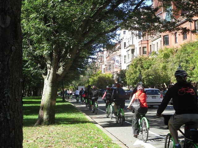 Full Day Bike Rental - What Travelers Are Saying