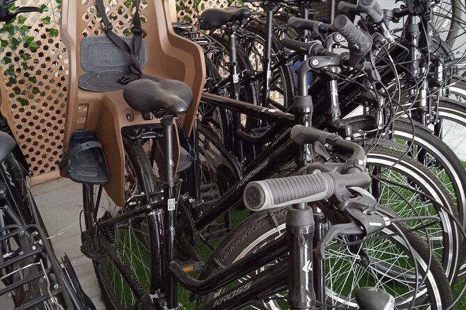 Full Day Bike Rental in Seville - Why Cycling in Seville Works So Well