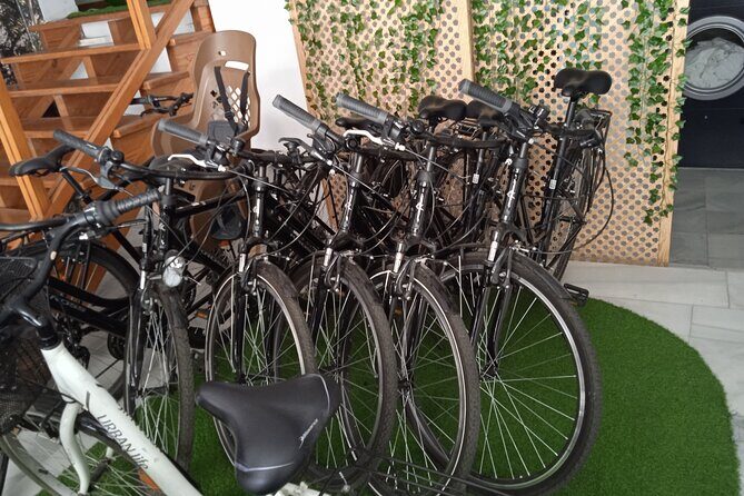 Full Day Bike Rental in Seville - Who Should Consider This Rental?