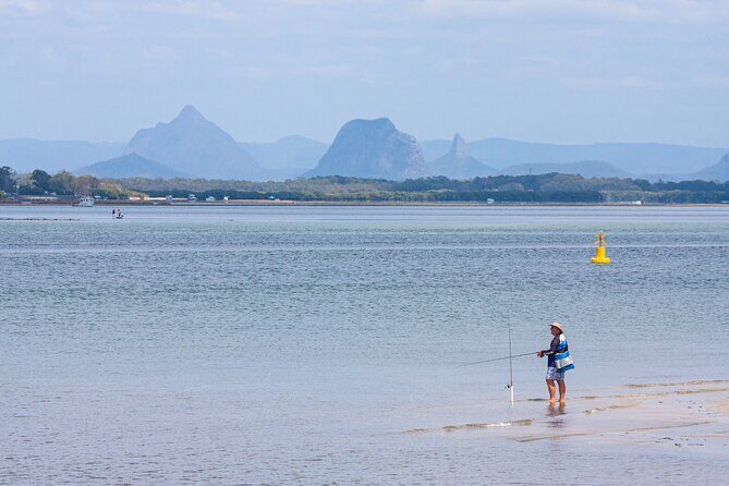 Full Day Birdlife Tour in Bribie Island - Exploring Bribie Island Through a Birding Lens: The Details