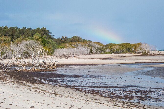 Full Day Birdlife Tour in Bribie Island - Why This Tour Stands Out