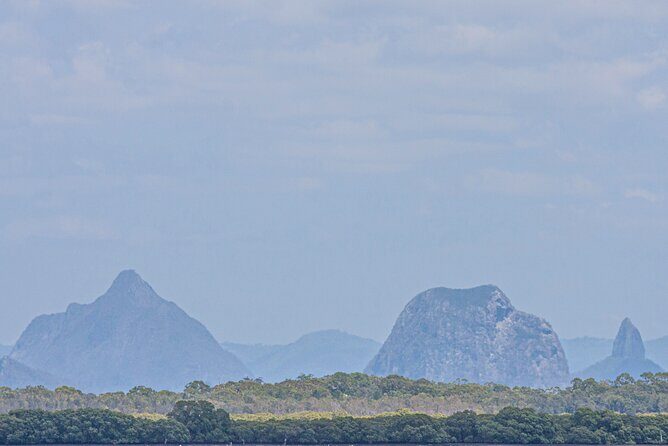 Full Day Birdlife Tour in Bribie Island - The Sum Up