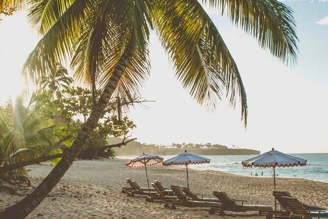 Full-Day Blue Lagoon Tour in Dominican Republic - Analyzing the Value