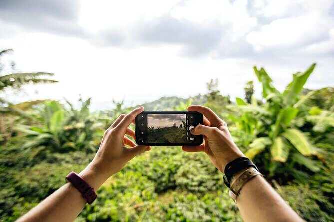 Full Day Blue Mountains Tour including Lunch - Who Should Consider This Tour?