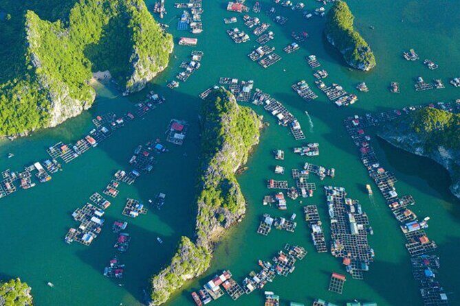 Full Day Boat Tour in Cat Ba Archipelago - Lan Ha Bay with Meals - What’s Included and What’s Not