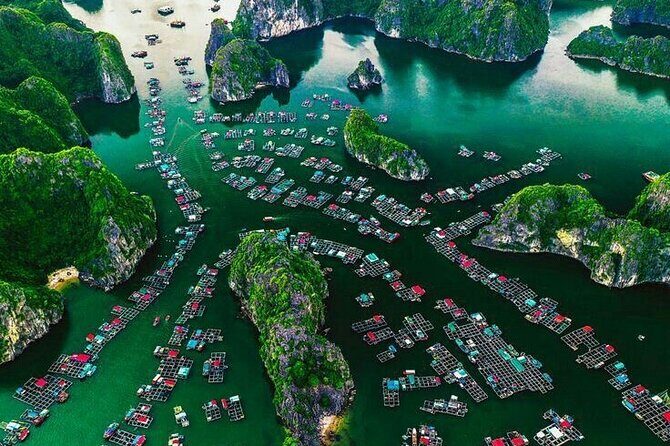 Full Day Boat Tour in Halong Bay, Cat Ba Archipelago & Lan Ha Bay - What Travelers Are Saying