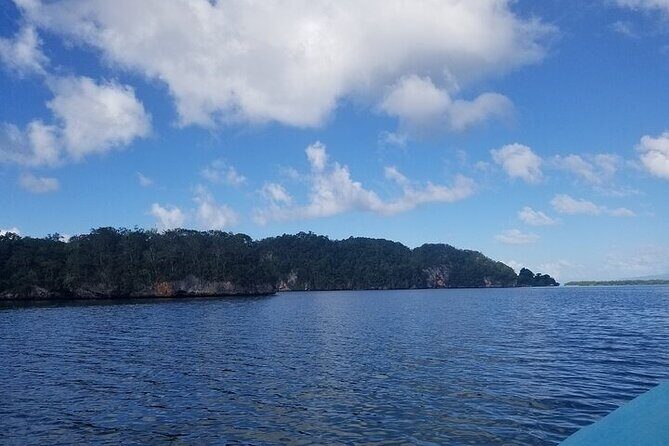 Full-Day Boat Tour of Los Haitises National Park - Key Points