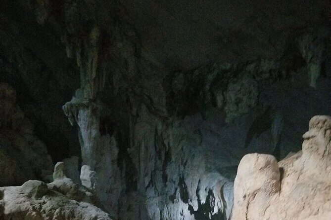 Full-Day Boat Tour of Los Haitises National Park - An In-Depth Look at the Tour Experience