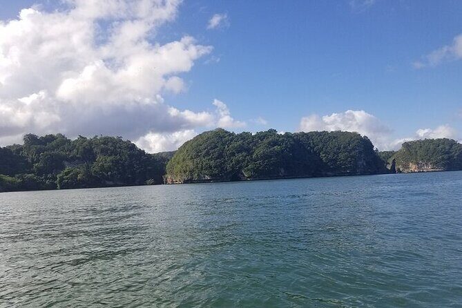 Full-Day Boat Tour of Los Haitises National Park - The Sum Up: Who Will Get the Most Out of This Tour?