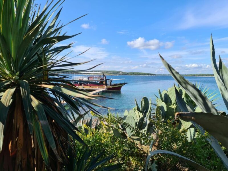Full-Day Boat Trip, Cave Swim, lunch & Drinks - Medulin/Ceja - Final Thoughts: Who Will Love This Tour?