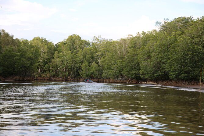 Full Day Bongawan River Cruise with Proboscis Monkey Sightseeing - Final Thoughts