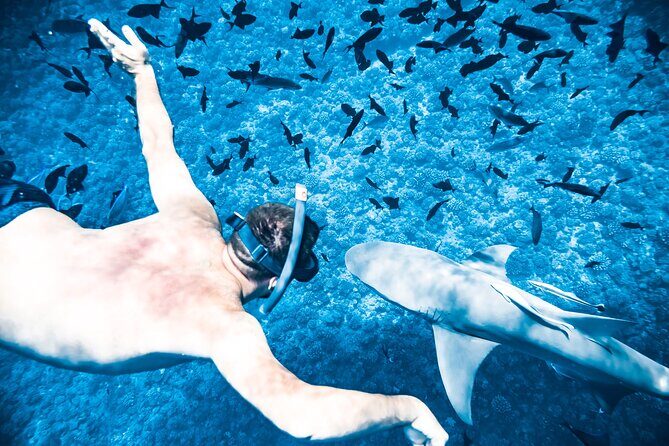 Full-Day Bora Bora Lagoon Cruise Including Snorkeling with Sharks and Stingrays - Afternoon Highlights and Cultural Touches