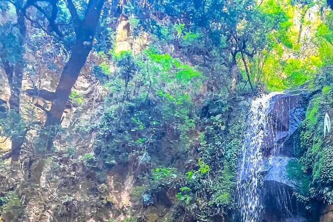 Full Day Bromeliad Forest Tour from Oaxaca - Who Will Love This Tour?