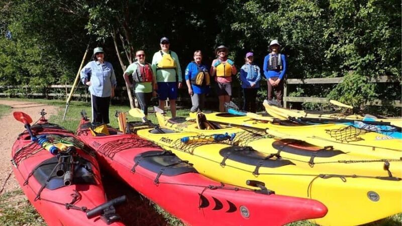 Full-Day Buffalo Bayou Kayaking Tour - The Experience in Detail
