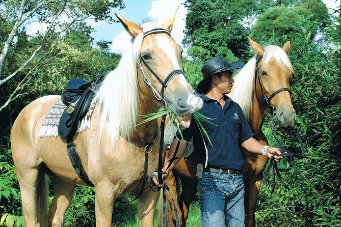 Full-Day Bukit Tinggi French Village Tour - Practical Aspects and Experience Highlights