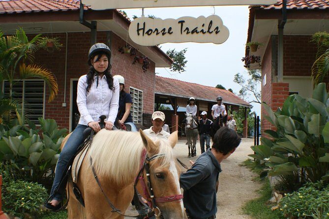 Full-Day Bukit Tinggi French Village Tour - Authentic Experiences & Feedback from Travelers