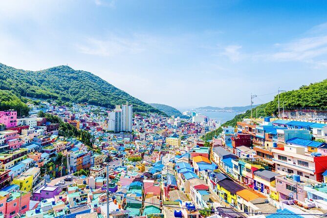 Full-Day Busan Highlights Private Guided Tour - Key Points
