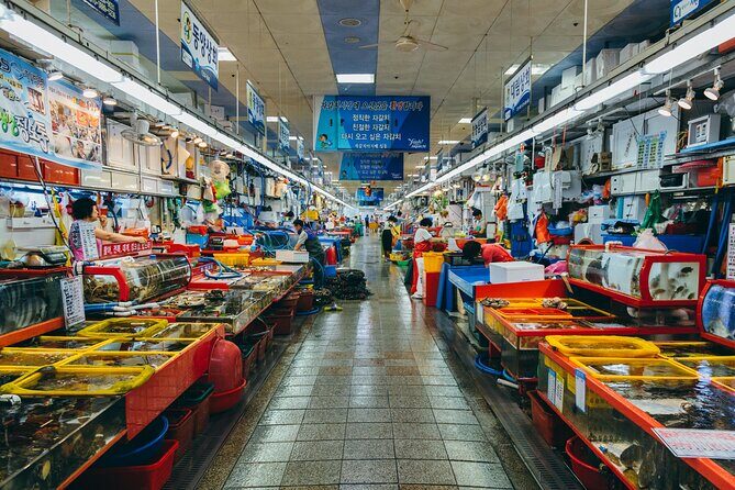 Full-Day Busan Highlights Private Guided Tour - Transportation and Practical Details